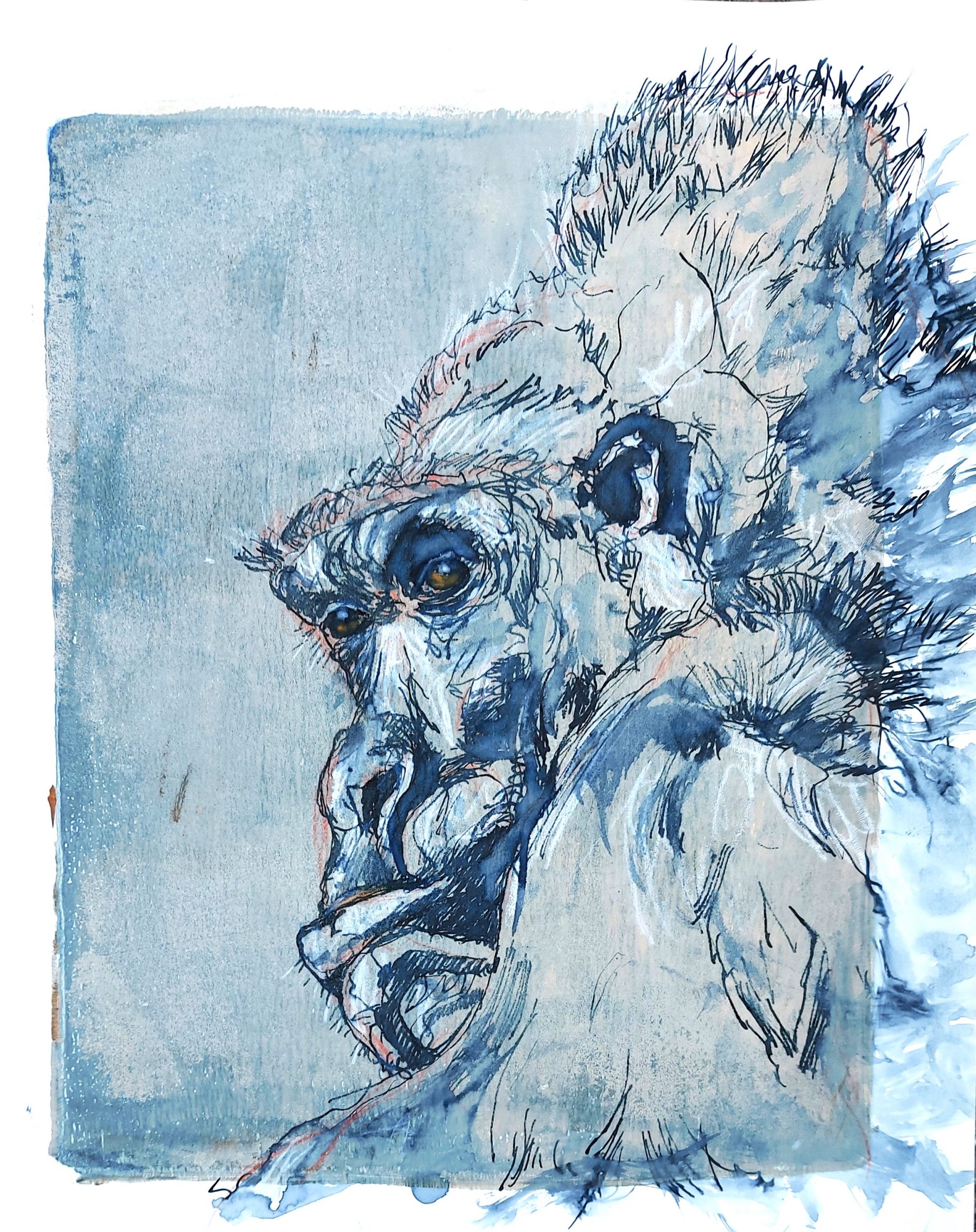 Aktuelle Ausstellungen unserer Mitglieder – Kunstverein Ebersberg e.V.